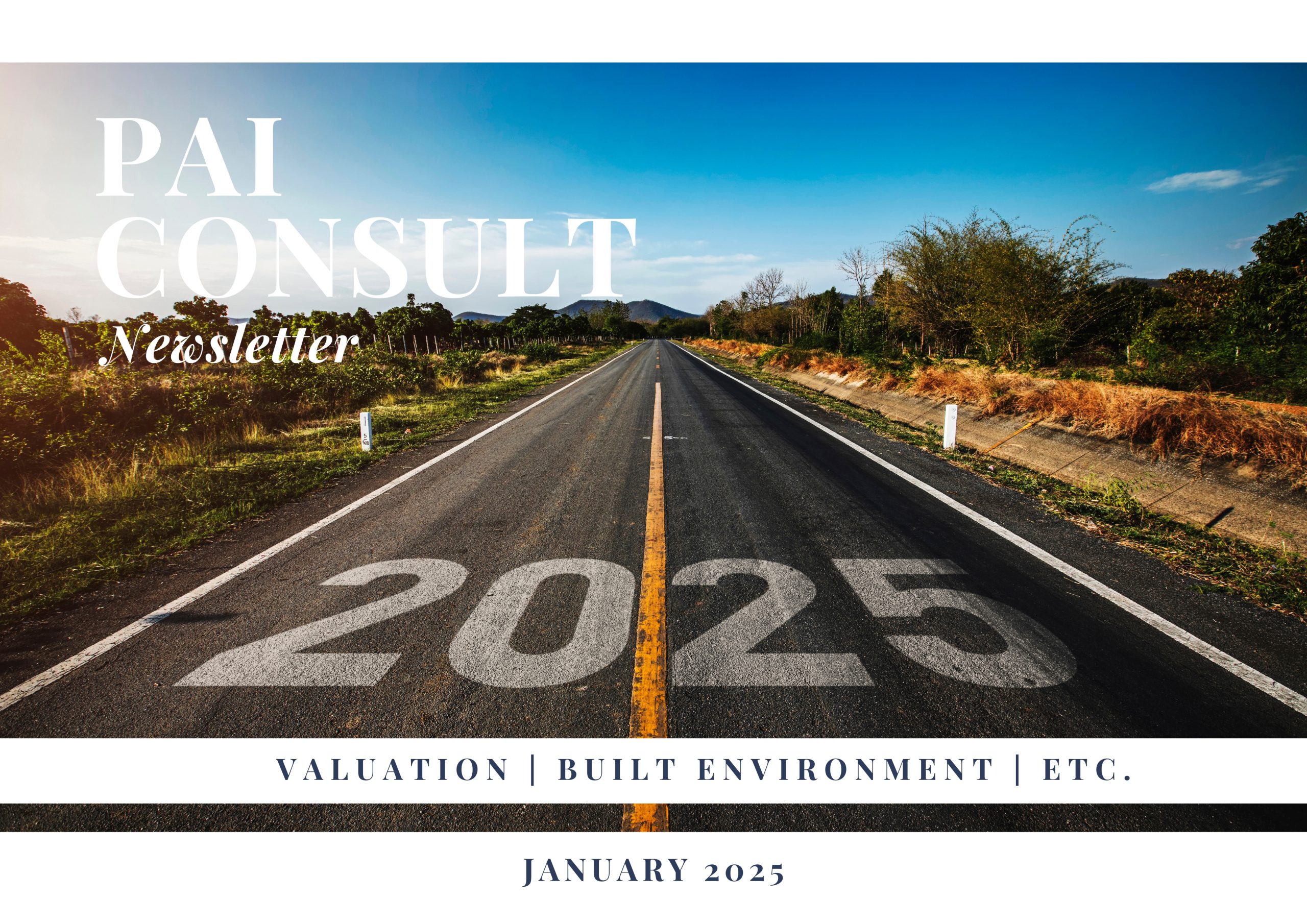 January 2025 Newsletter - PAI CONSULT